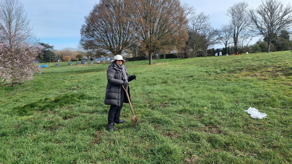 Trees for Havering: Community Plants 500 New Trees – The Havering Daily