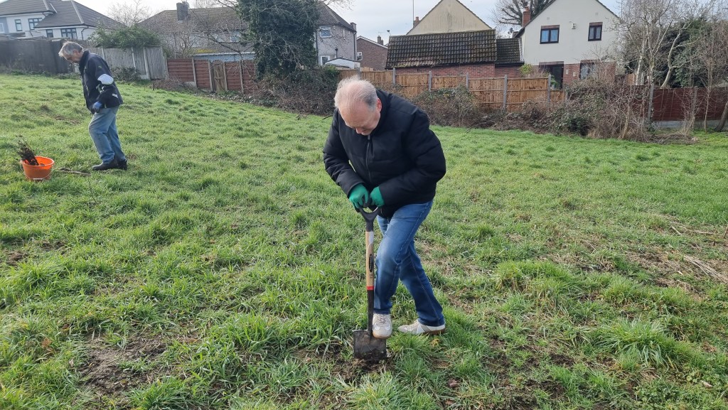 Trees for Havering: Community Plants 500 New Trees – The Havering Daily